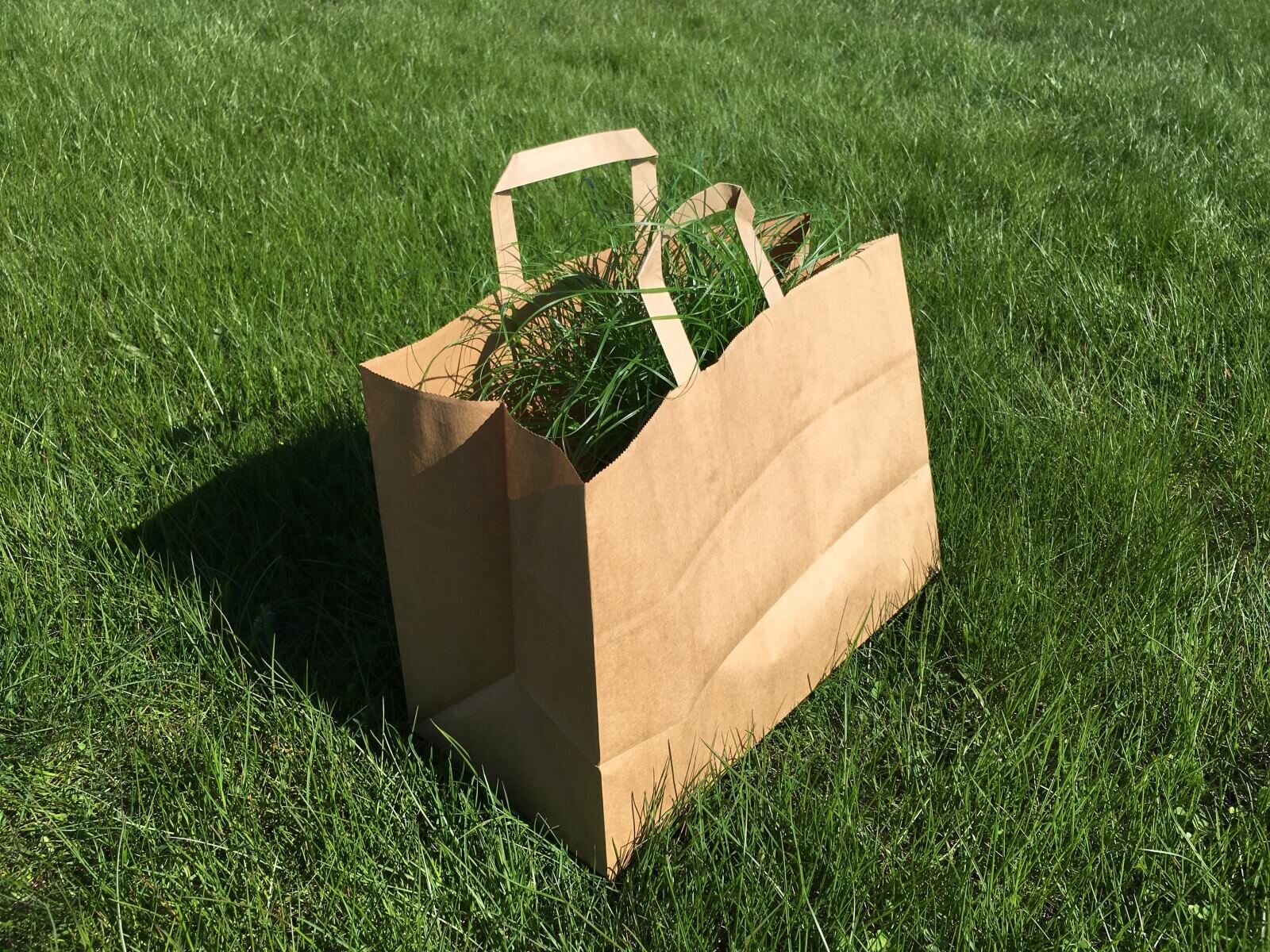 5 Ways To Sustainably Recycle Packaging | Blog | New Zealand Couriers